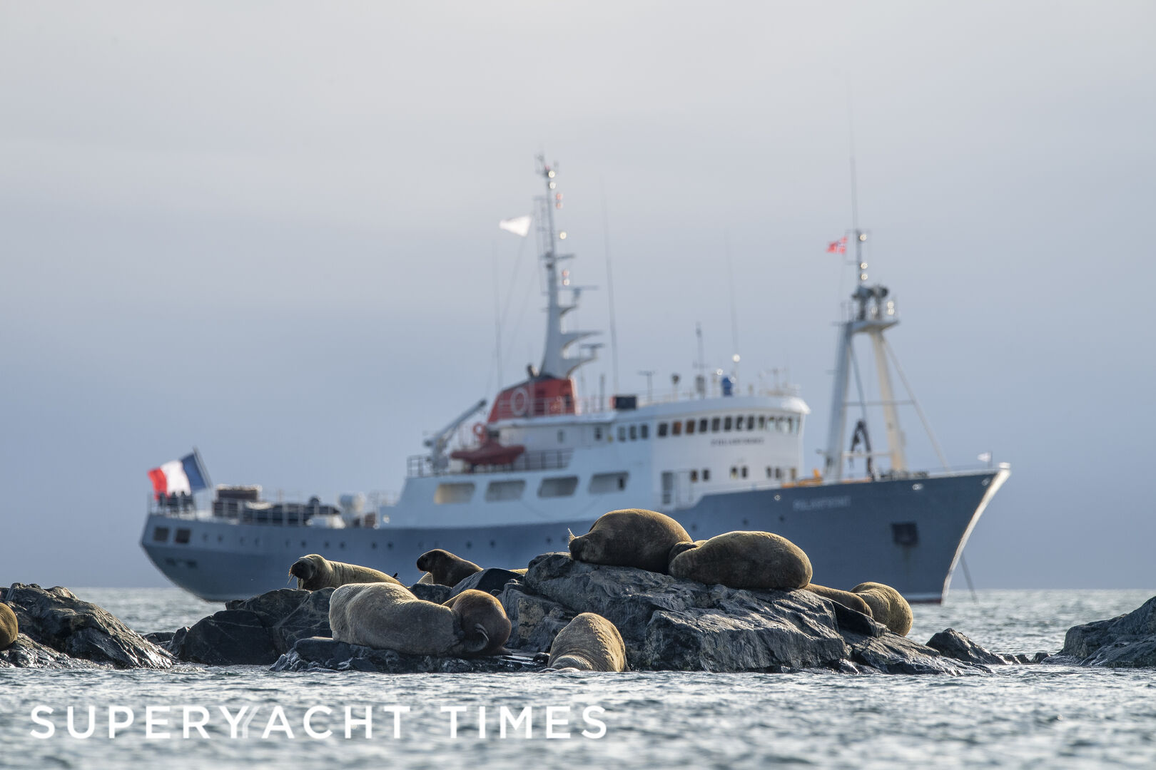Unpacking the Arctic: How to tackle one of the world's most exclusive ...