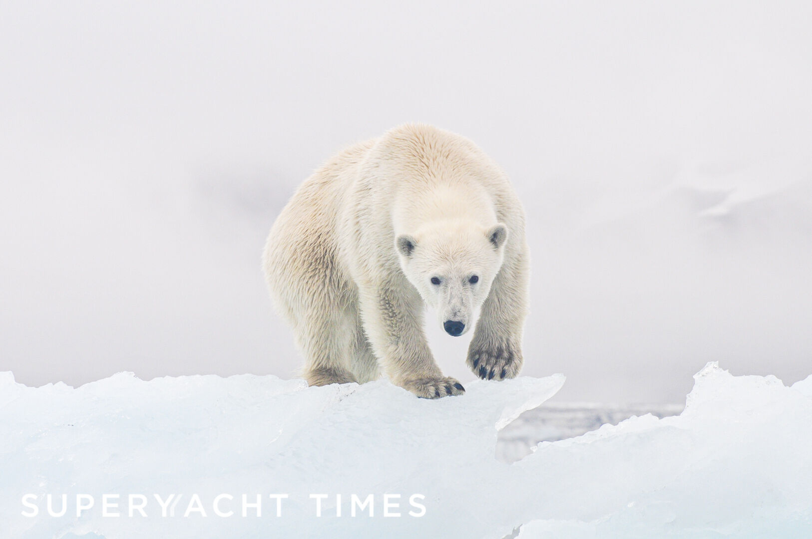Unpacking the Arctic: How to tackle one of the world's most exclusive ...