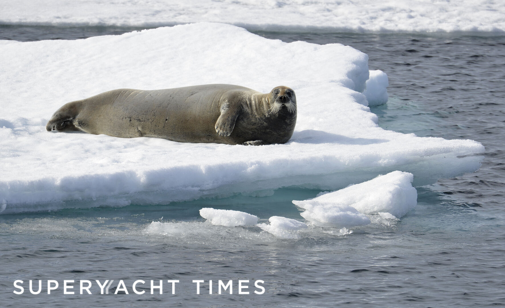 Unpacking the Arctic: How to tackle one of the world's most exclusive ...