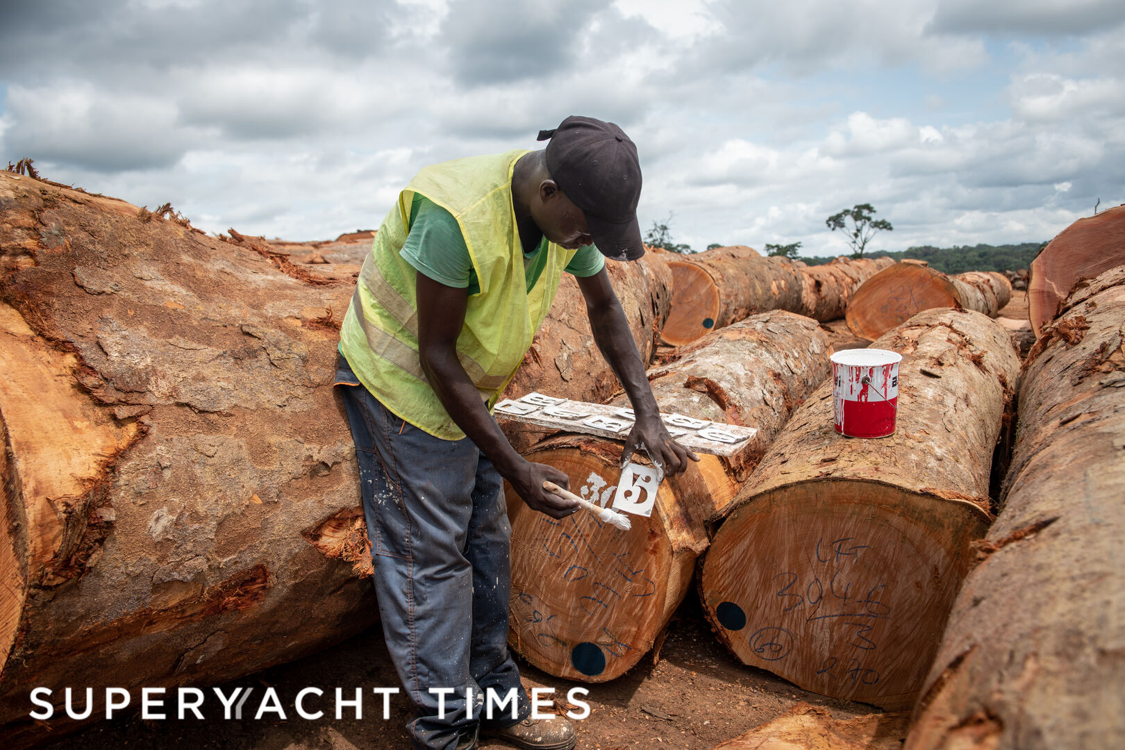FSC launches initiative to champion sustainable forestry