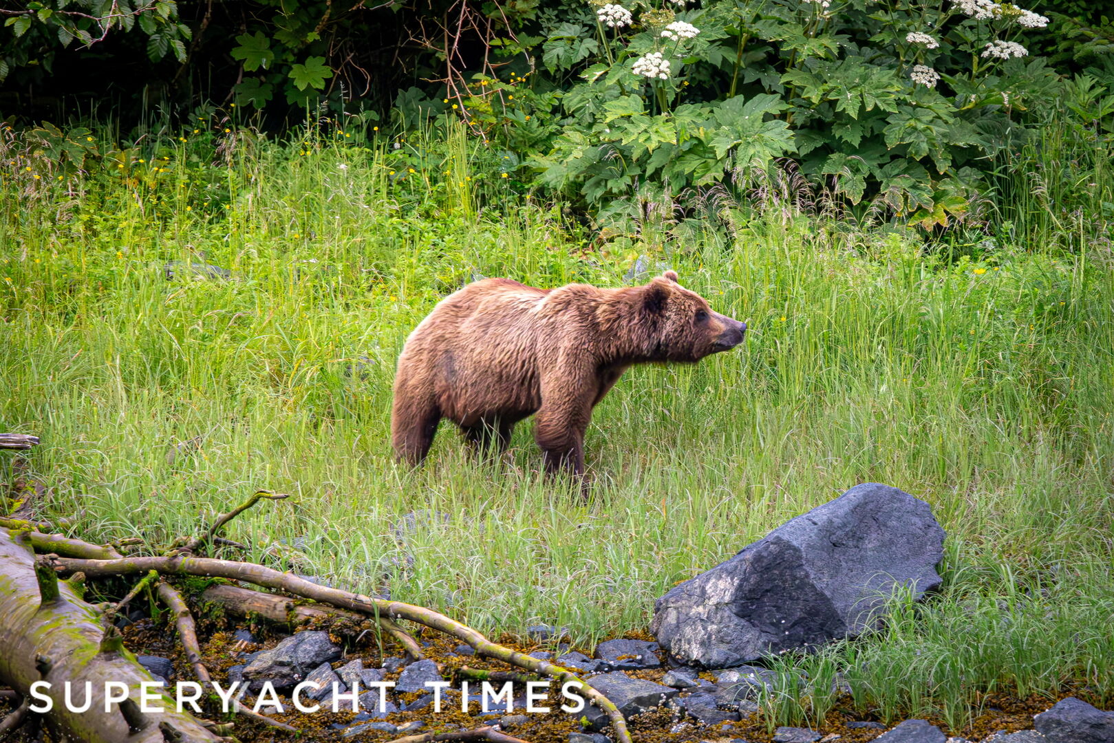 Captain Zack Hurowitz talks exploring Alaska on 40m motor yacht Serengeti