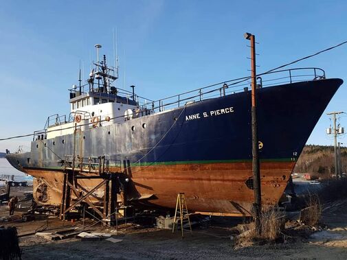 Anne S. Pierce | Superyacht Times