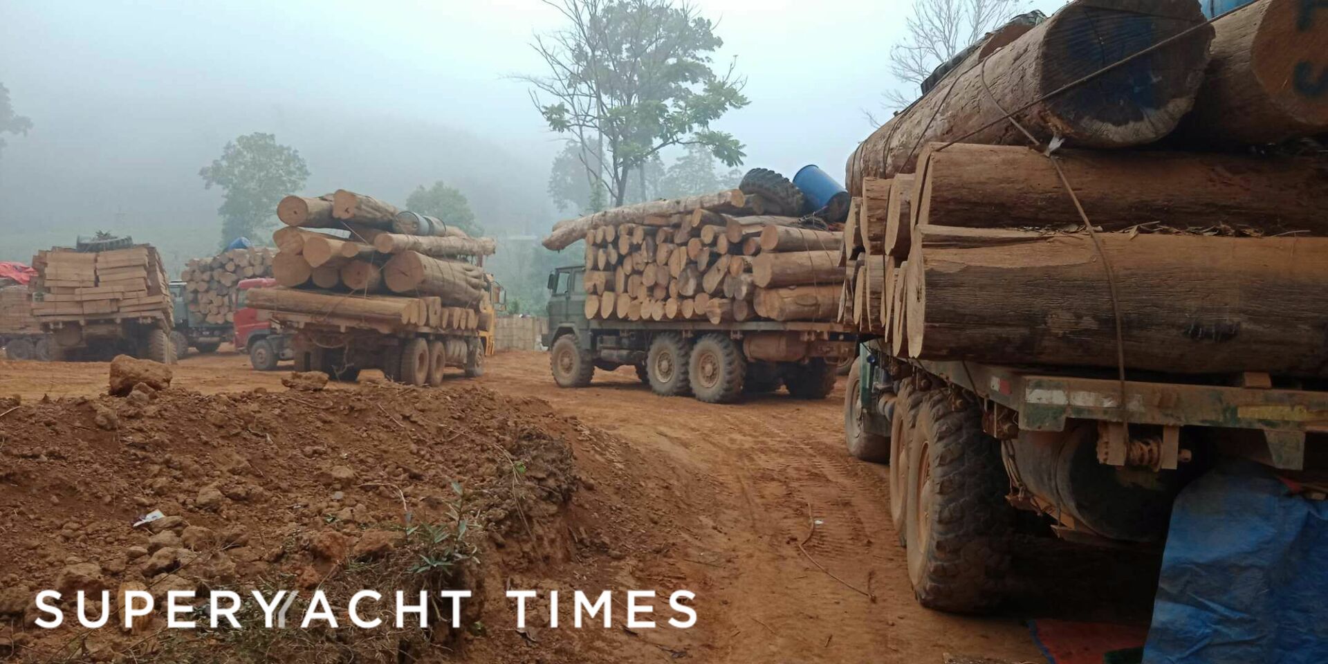 Sunseeker International fined £359k over use of illegal Myanmar teak